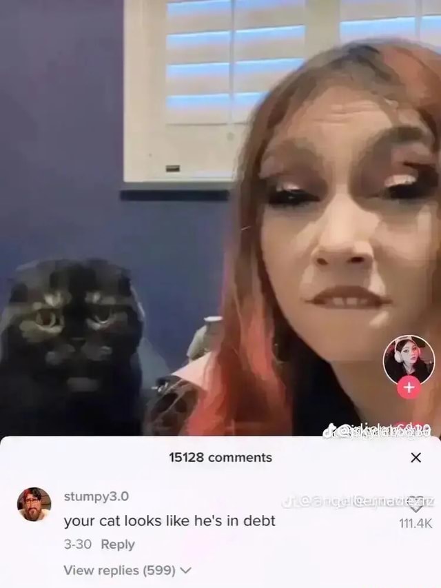 15128 comments stumpy3.0 your cat looks like he's in debt Reply View ...