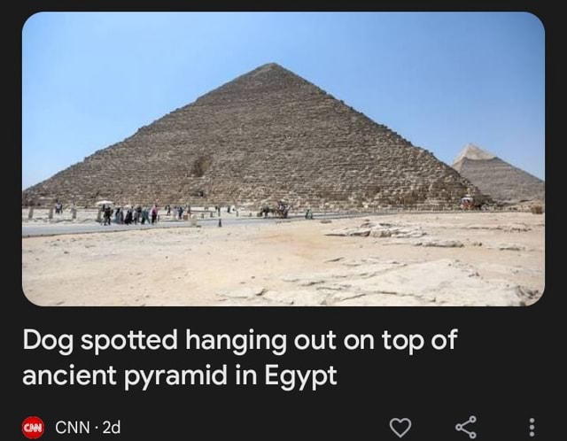 Dog spotted hanging out on top of ancient pyramid in Egypt CNN - iFunny