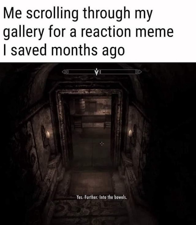 Me scrolling through my gallery for a reaction meme I saved months ago ...