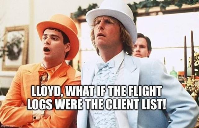 LLOVD, WHAT IF THE FLIGHT LOGS WERETHE CLIENT LIST! - iFunny