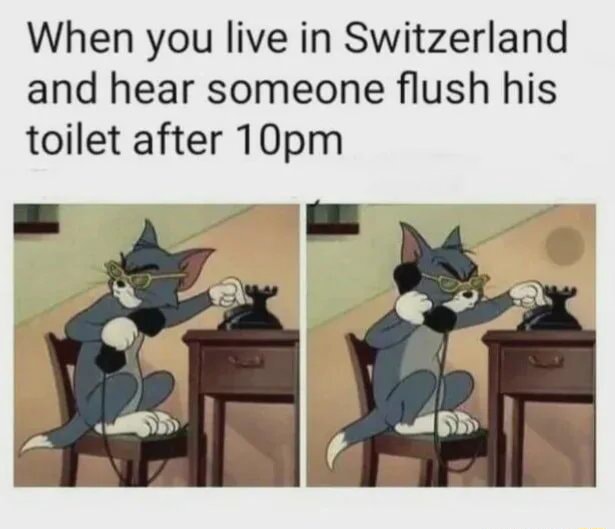 When you live in Switzerland and hear someone flush his toilet after ...