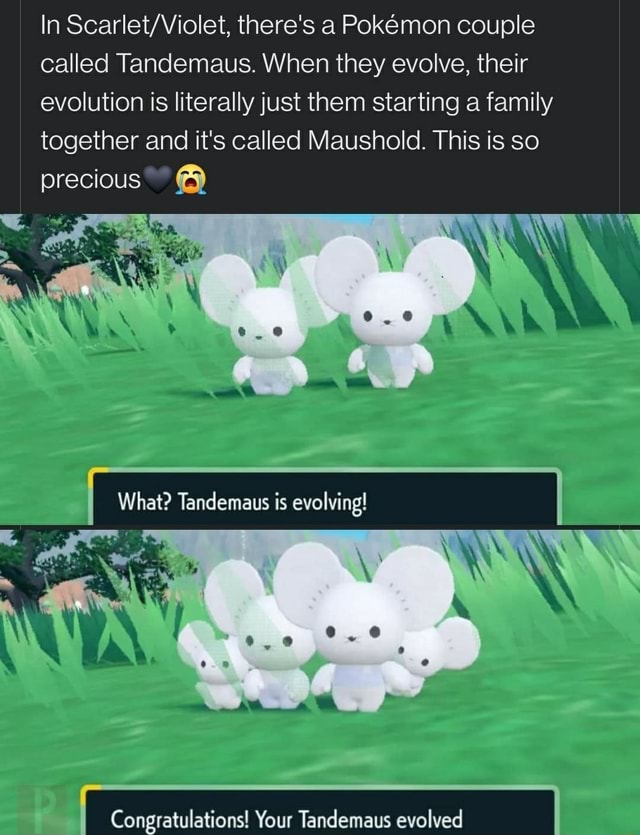 In there's a Pokemon couple called Tandemaus. When they evolve, their ...