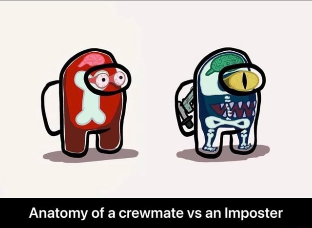 Anatomy of a crewmate vs an Imposter - Anatomy of a crewmate vs an ...