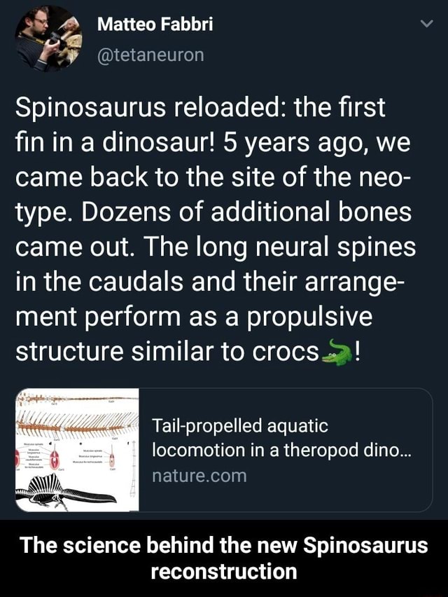Spinosaurus reloaded: the first fin in a dinosaur! 5 years ago, we came ...