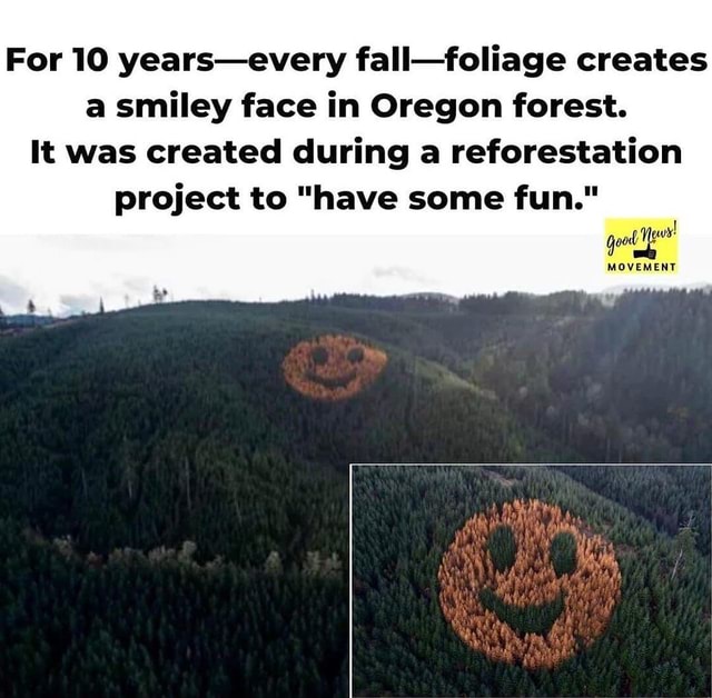 For 10 years-every fall-foliage creates a smiley face in Oregon forest ...