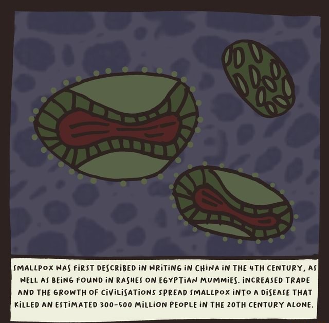 TN5.3- Smallpox - SMALLPOX WAS FIRST DESCRIBED iN WRITING iN CHINA iN ...