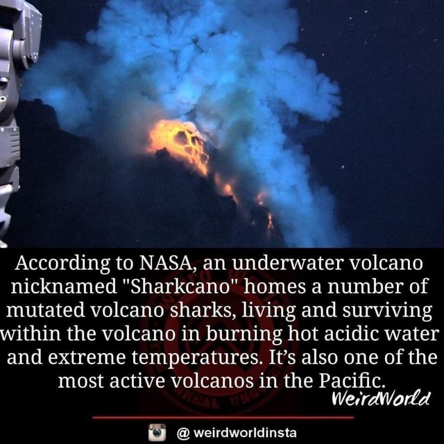According to NASA, an underwater volcano nicknamed "Sharkcano" homes a ...