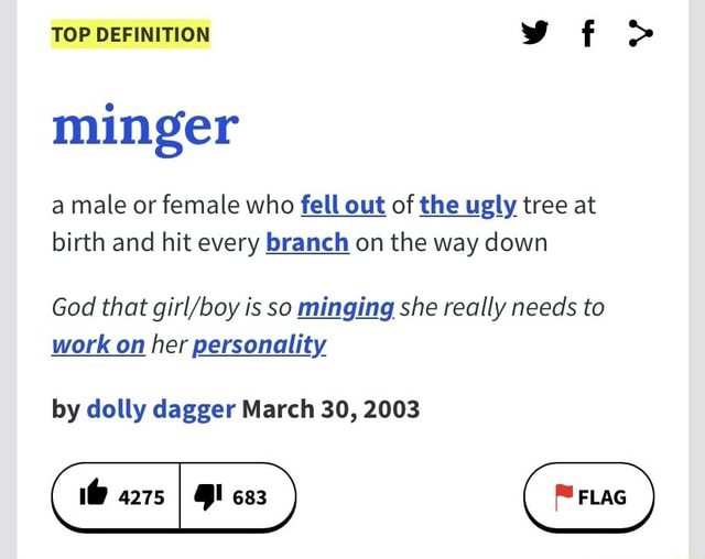 TOP DEFINITION minger a male or female who fell out of the ugly tree at ...