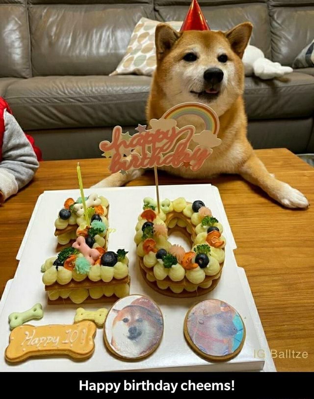 Happy birthday cheems! - Happy birthday cheems! - iFunny
