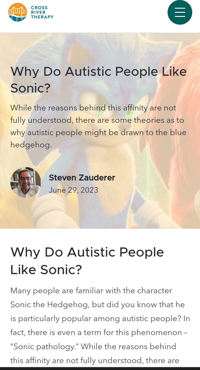 CRoss RIVER THERAPY Why Do Autistic People Like Sonic? While the ...