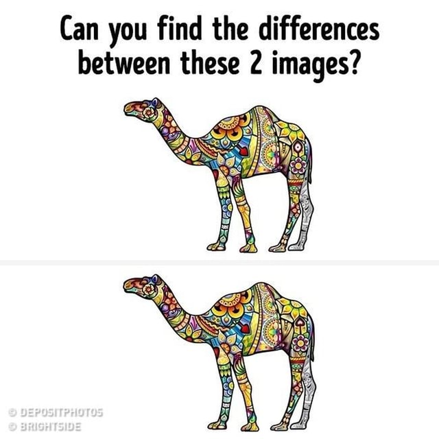Can you find the differences between these 2 images? - America’s best ...