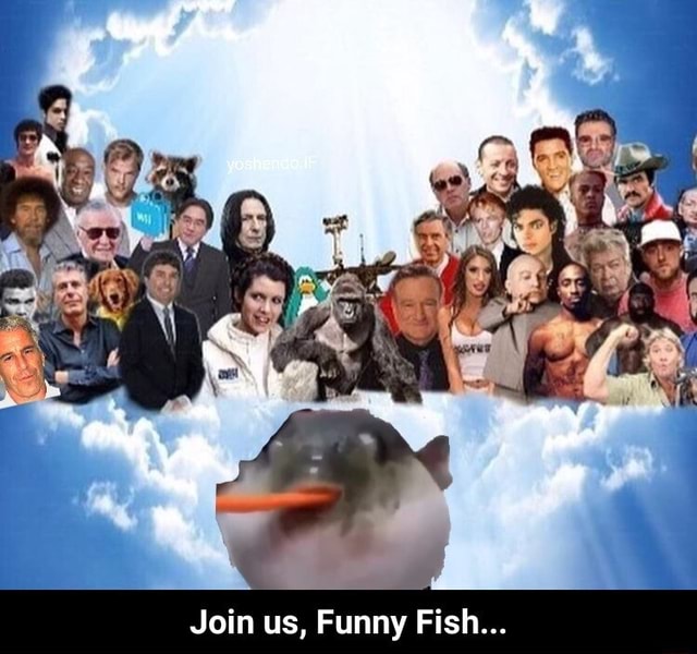 Join us, Funny Fish... - iFunny
