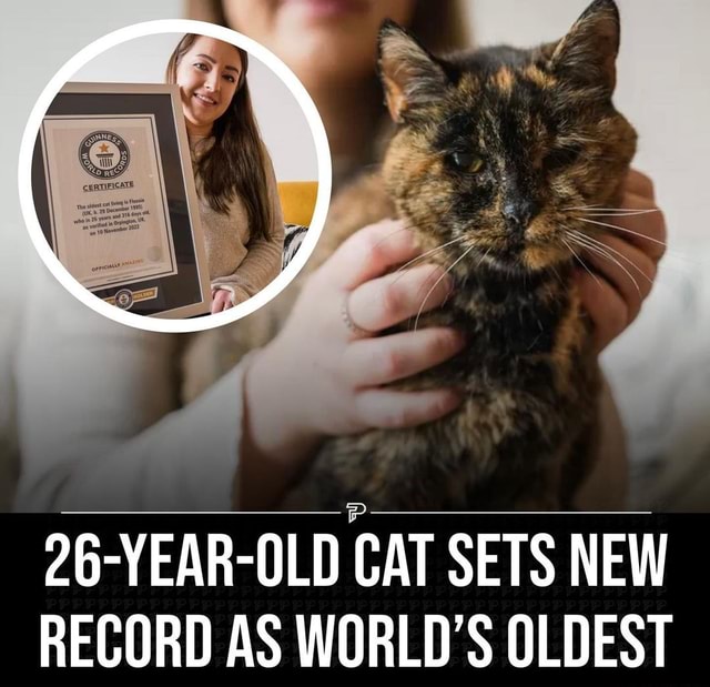 Flossie, 26, was confirmed as the oldest cat by Guinness World Records ...