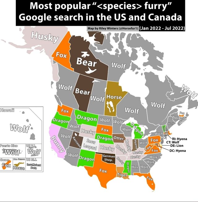 Most popular " furry" Google search in the US and Canada Map by Riley ...