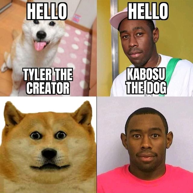 HELLO HELLO TYLER THE CREATOR - iFunny