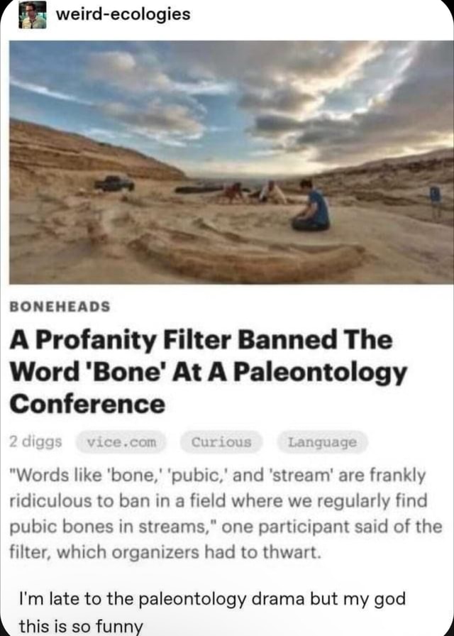 Weird-ecologies BONEHEADS A Profanity Filter Banned The Word Bone' At A ...