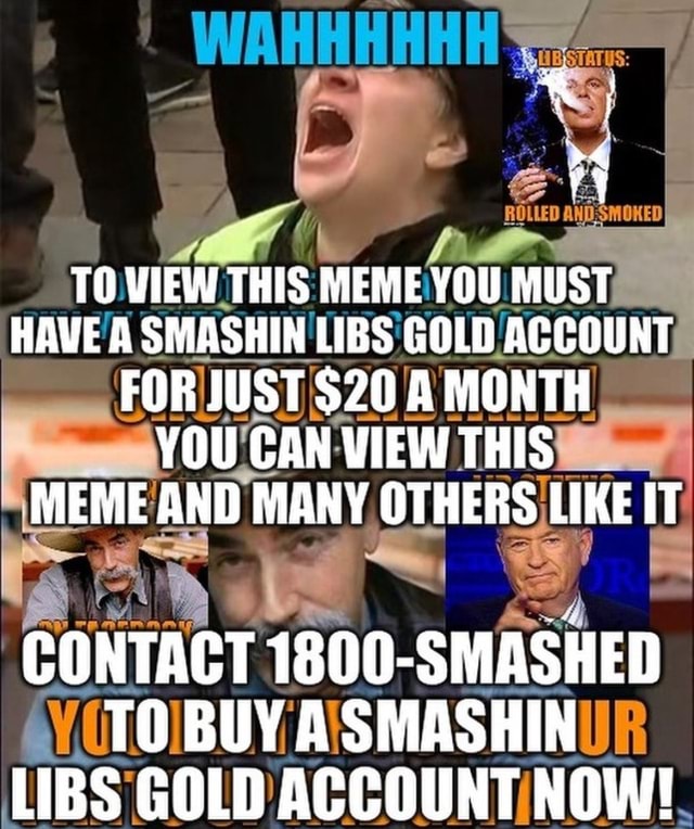 TO VIEW THIS MEME YOU MUST HAVE A SMASHIN LIBS GOLD ACCOUNT FOR JUST ...