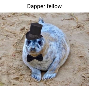 Dapper fellow - iFunny