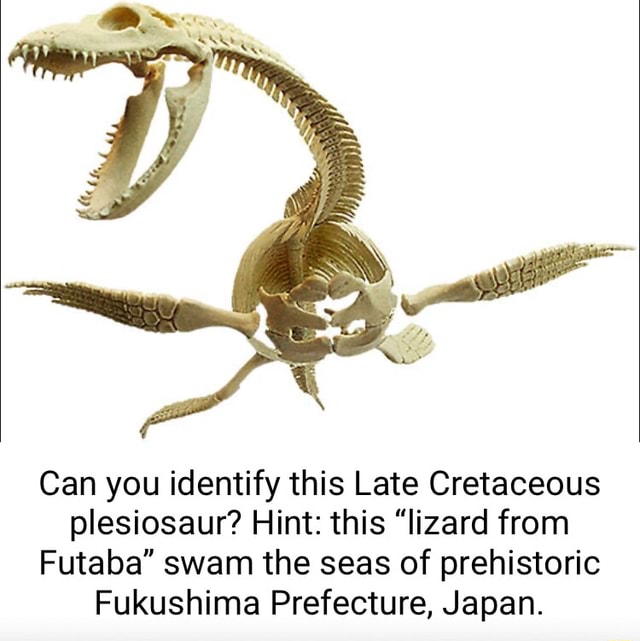 Can you identify this Late Cretaceous plesiosaur? Hint: this "lizard ...