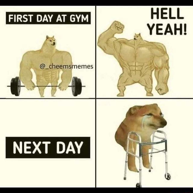 FIRST DAY AT GYM cheemsmemes NEXT DAY - iFunny