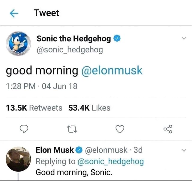 Sonic the Hedgehog @sonic_hedgehog good morning @elonmusk 1:28 PM 04 ...