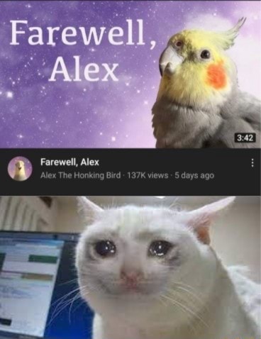 Farewell, Alex - iFunny
