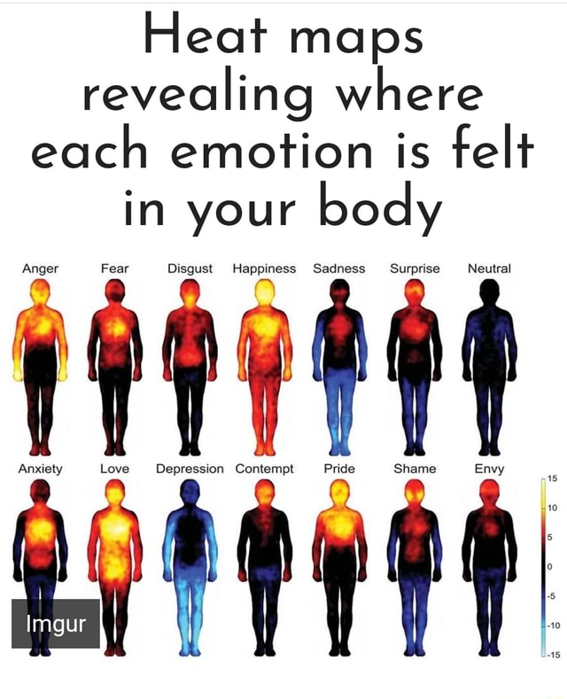 Heat maps revealing where each emotion is felt ger Fear in your isgust ...