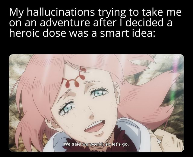 My hallucinations trying to take me on an adventure after I decided a ...