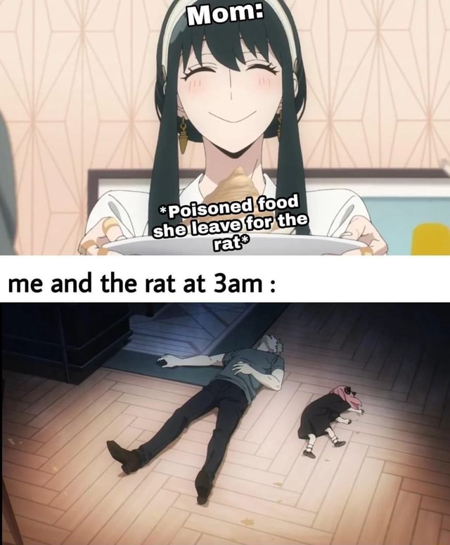 Mom: food the me and the rat at - iFunny