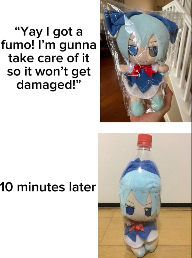 "Yay I got fumo! I'm gunna take care of it so it won't get damaged!" 10 ...