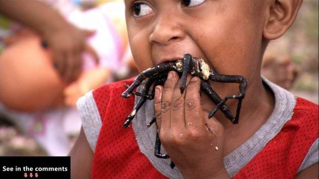 Top 15 Weird Animals People Eat Around the World - See in the comments ...