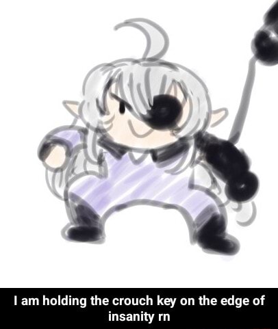 Ww am holding the crouch key on the edge of insanity rn - I am holding ...