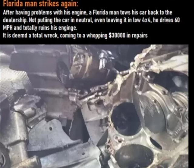 Florida man strikes again: After having problems with his engine, a ...