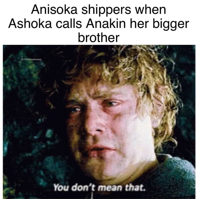 Anisoka shippers when Ashoka calls Anakin her bigger You don't mean ...