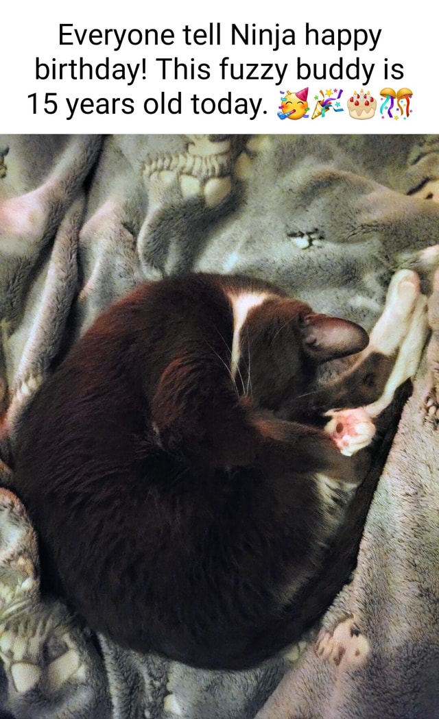 Everyone tell Ninja happy birthday! This fuzzy buddy is 15 years old ...