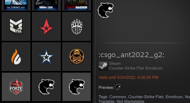 TURING RAISER 6 * @ Steam Counter-Strike Flair Emoticon Valid until 24 ...