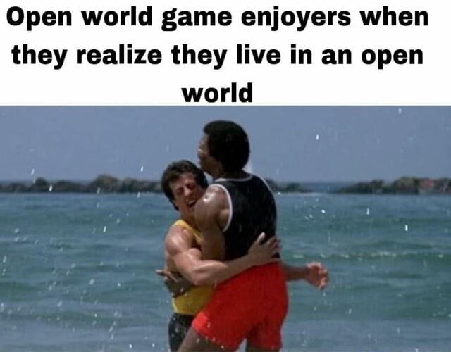 Open world game enjoyers when they realize they live in an open world ...