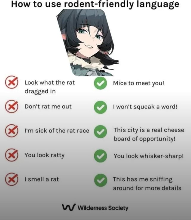 How to use rodent-friendly language Look what the rat Mice to meet you ...