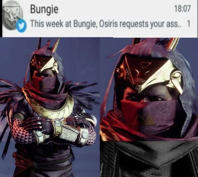 Bungle This week at Bungie, Osiris requests your ass - iFunny