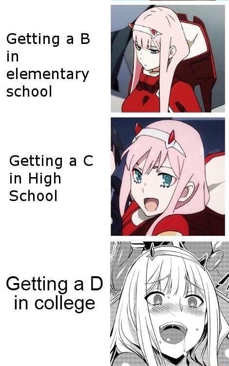 Getting a B in elementary school Getting a C in High School Getting aD ...