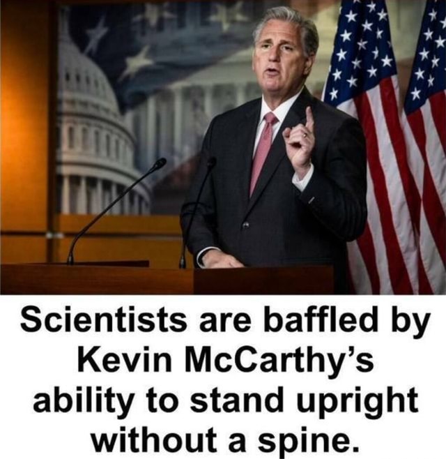 Scientists are baffled by Kevin McCarthy's ability to stand upright ...