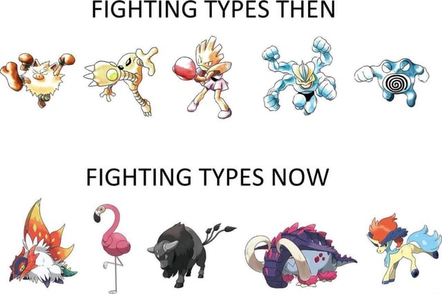 FIGHTING TYPES THE FIGHTING TYPES NOW - iFunny