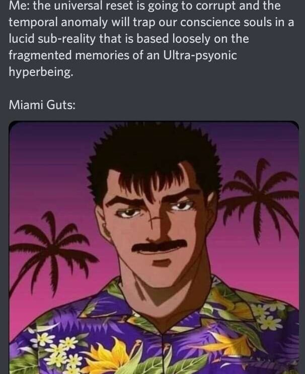 Me: the universal reset is going to corrupt and the temporal anomaly ...