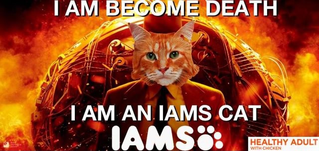 BECOME DEATH I AM AN IAMS CAT 1AMSe: exu: - America’s best pics and videos