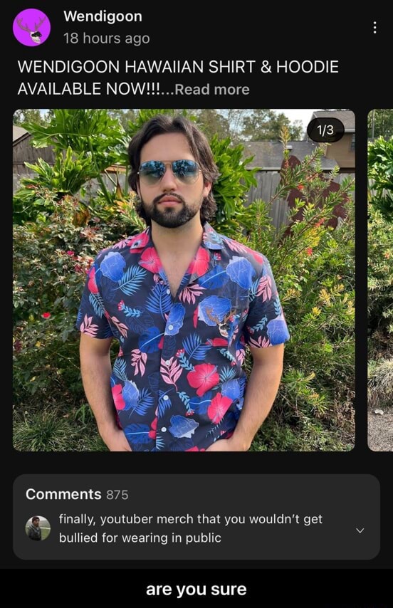 Wendigoon 18 hours ago WENDIGOON HAWAIIAN SHIRT & HOODIE AVAILABLE more ...