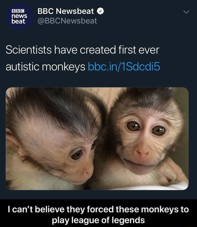Scientists have created first ever autistic monkeys bbc.in/1Sdcdi5 I ...