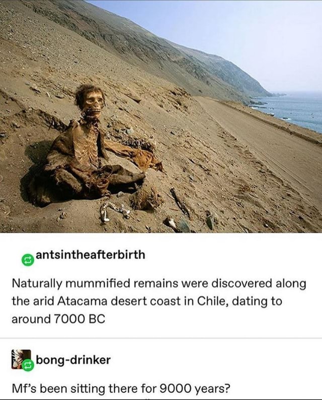 Naturally mummified remains were discovered along the arid Atacama ...