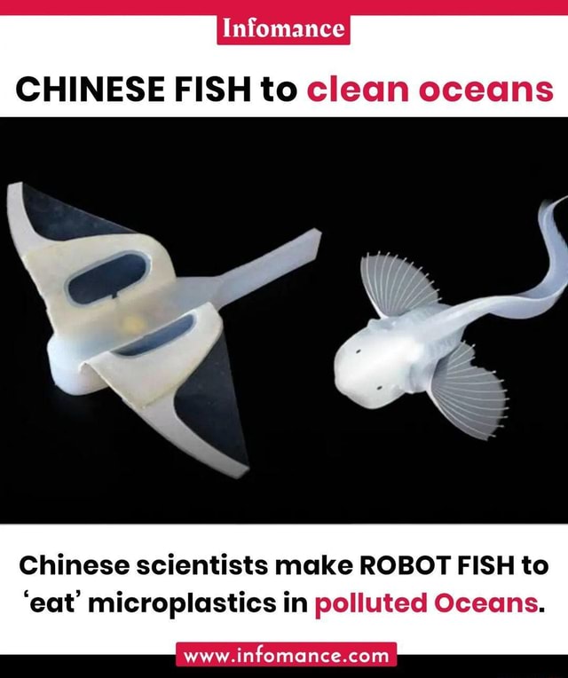 Infomance CHINESE FISH to clean oceans Chinese scientists make ROBOT ...