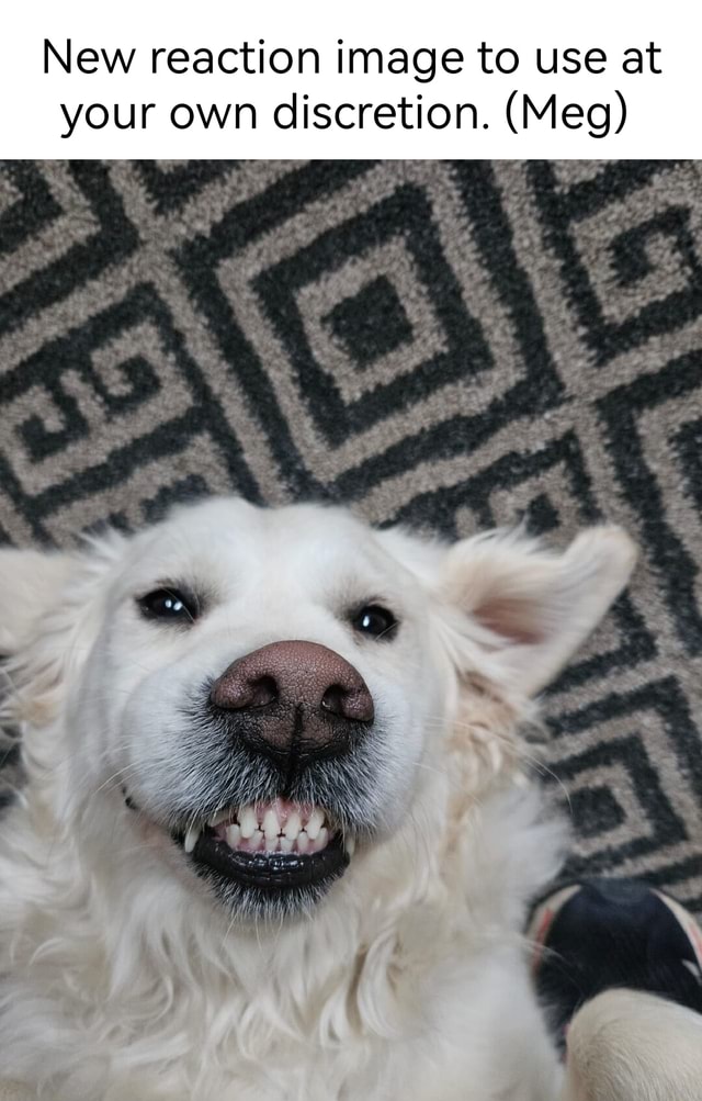 New reaction image to use at your own discretion. (Meg) ore - iFunny