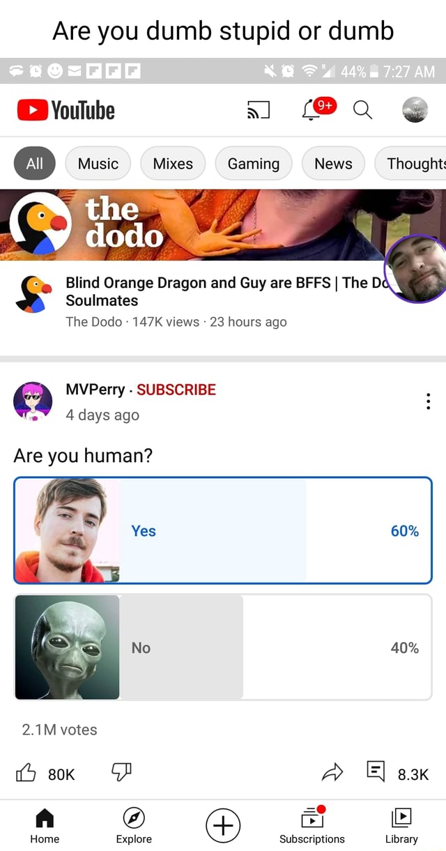 Are you dumb stupid or dumb 44 7.27 AM VouTube All Music Mixes Gaming News Thought e>, Blind ...